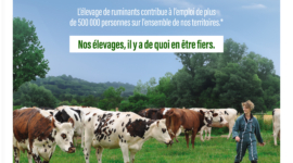 CNE - agence - Ogilvy Paris - agence Publicité / communication / 360