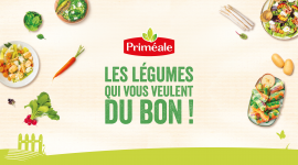 Priméale - agence - Native - agence Publicité / communication / 360