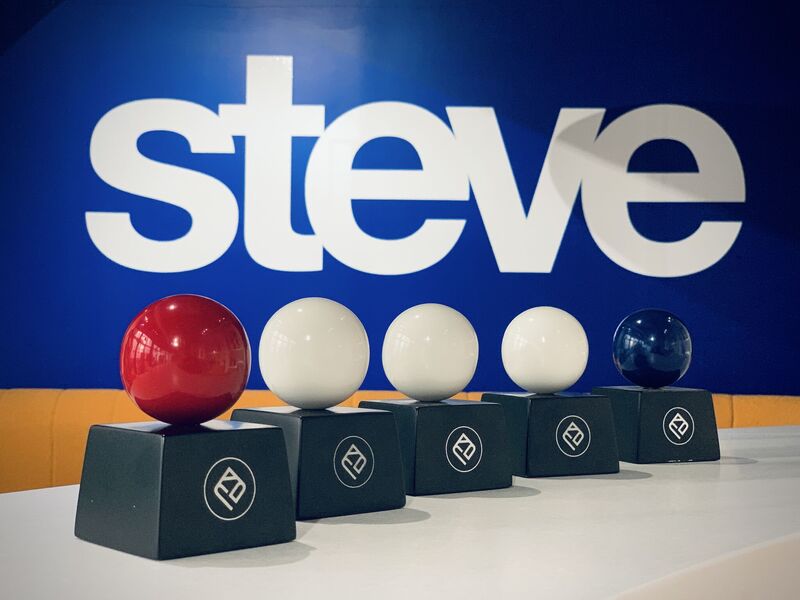 Steve x e-Marketing : Effy et Steve changent votre maison, en mieux ...