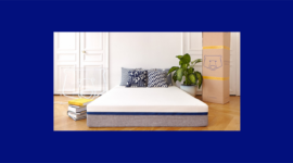 Tediber - agence - Insign - agence Publicité / communication / 360